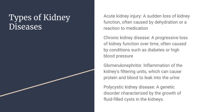 Introduction to Nephrology and Kidney Diseases | PPTX