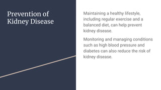 Introduction to Nephrology and Kidney Diseases | PPTX