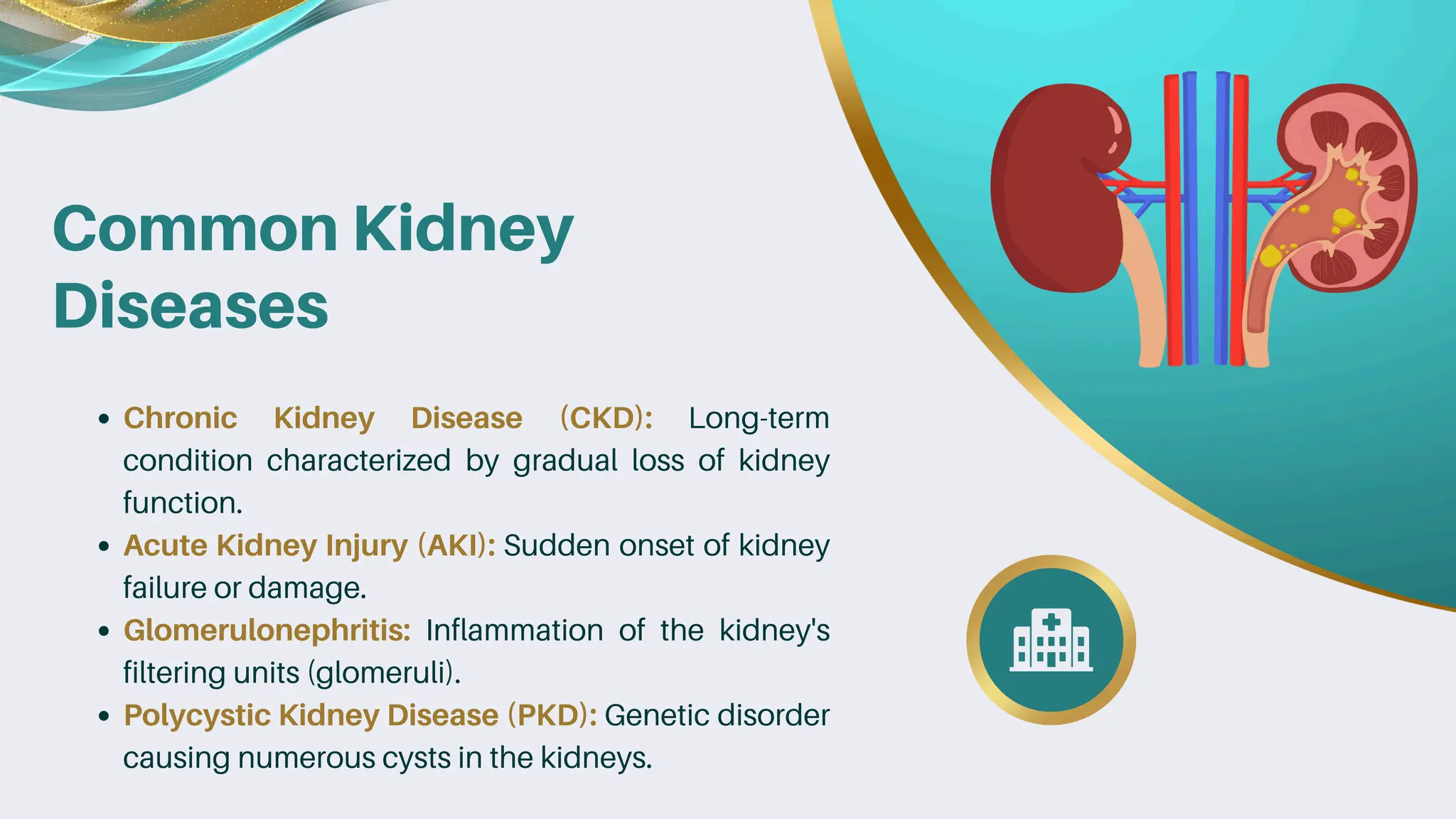 Introduction to Nephrology: Essential Guide to Kidney Health and ...