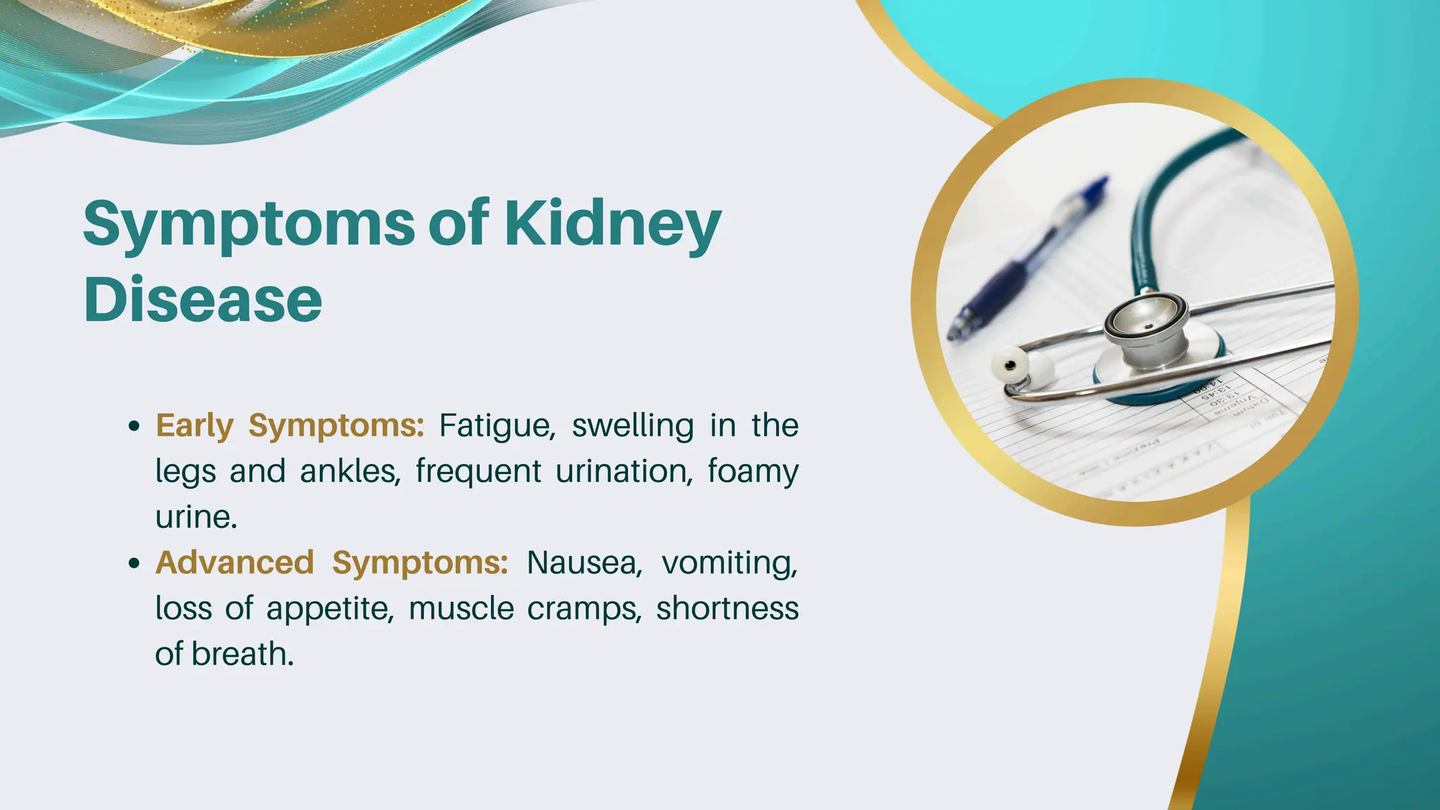 Introduction to Nephrology: Essential Guide to Kidney Health and ...