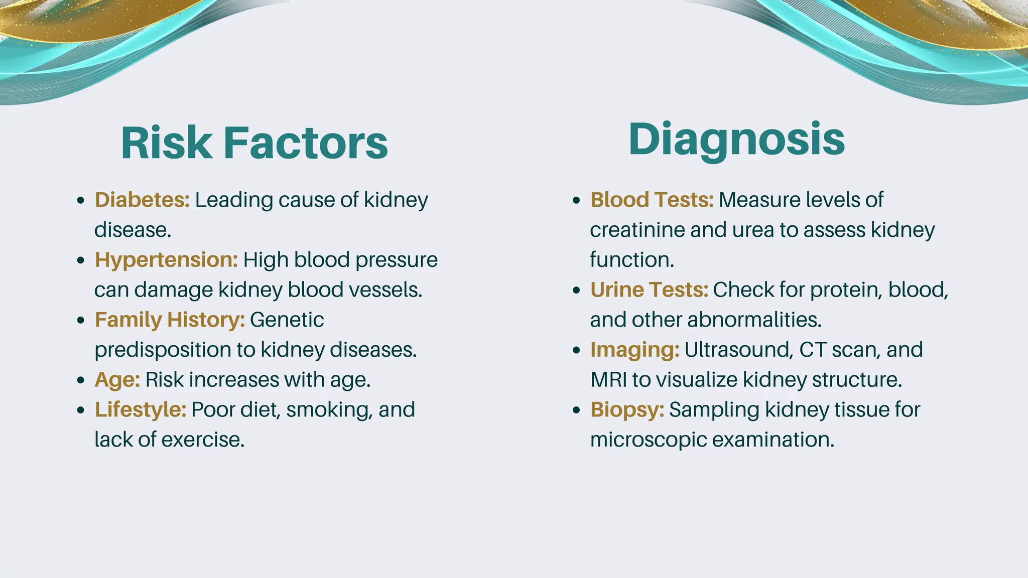 Introduction to Nephrology: Essential Guide to Kidney Health and ...