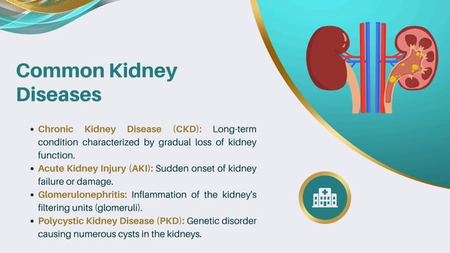 Introduction to Nephrology: Essential Guide to Kidney Health and ...