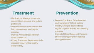 Introduction to Nephrology: Essential Guide to Kidney Health and ...