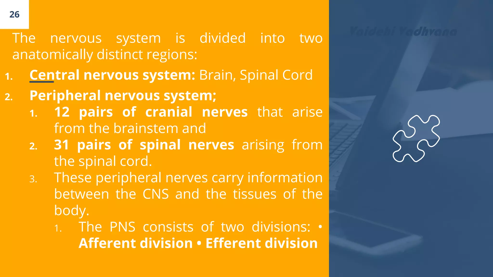 INTRODUCTION TO NERVOUS SYSTEM.pptx | Free Download