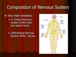 introduction to nervous system.ppt
