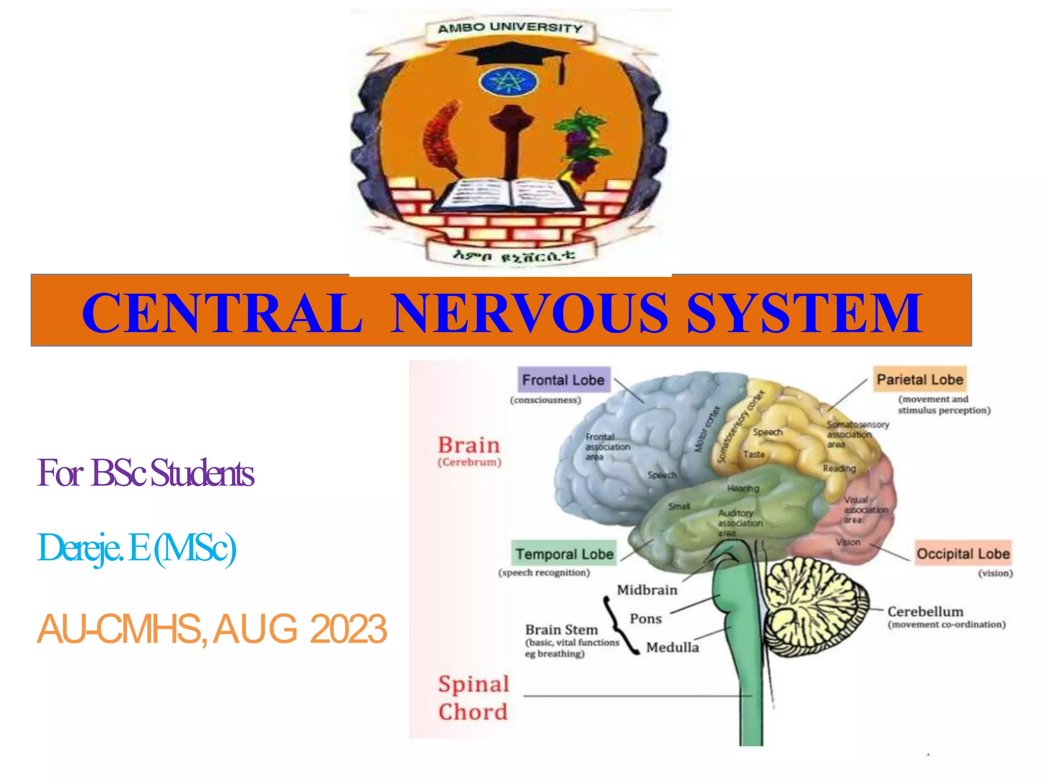 INTRODUCTION TO NERVOUS SYSTEM.pptx | Brain and Nervous System Disorders | Diseases and Conditions