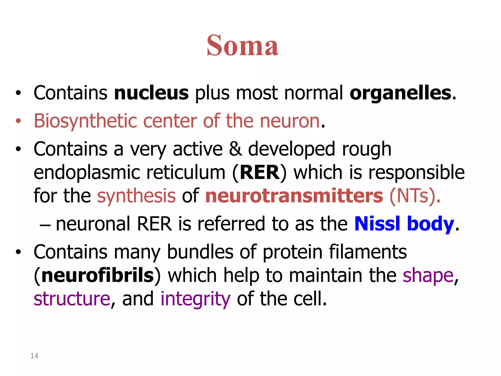 INTRODUCTION TO NERVOUS SYSTEM.pptx