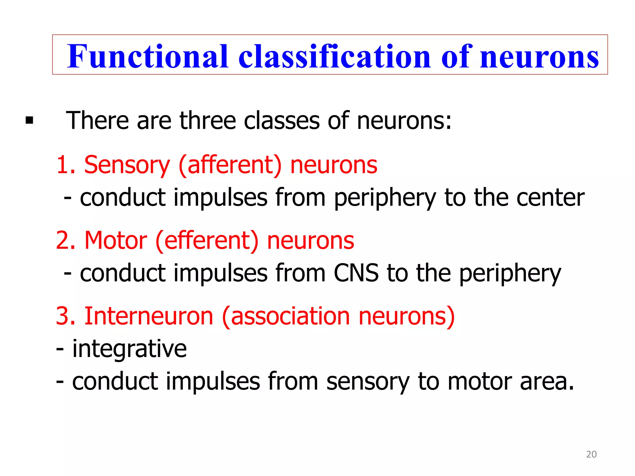 INTRODUCTION TO NERVOUS SYSTEM.pptx | Brain and Nervous System Disorders | Diseases and Conditions