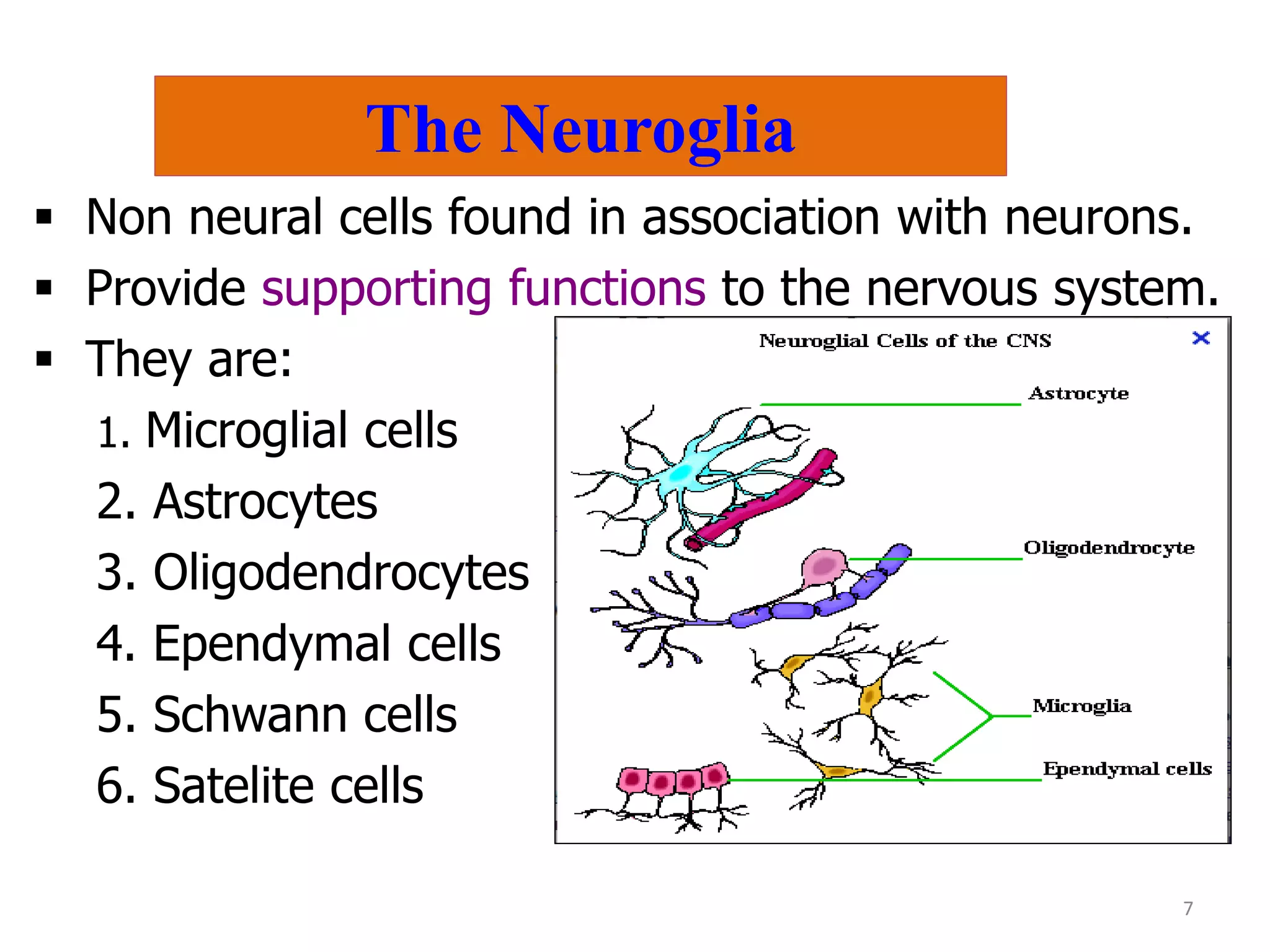 INTRODUCTION TO NERVOUS SYSTEM.pptx | Brain and Nervous System Disorders | Diseases and Conditions