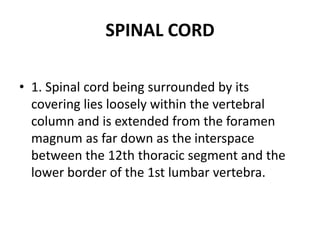 Introduction to Nervous System.pptx for physiology | PPT