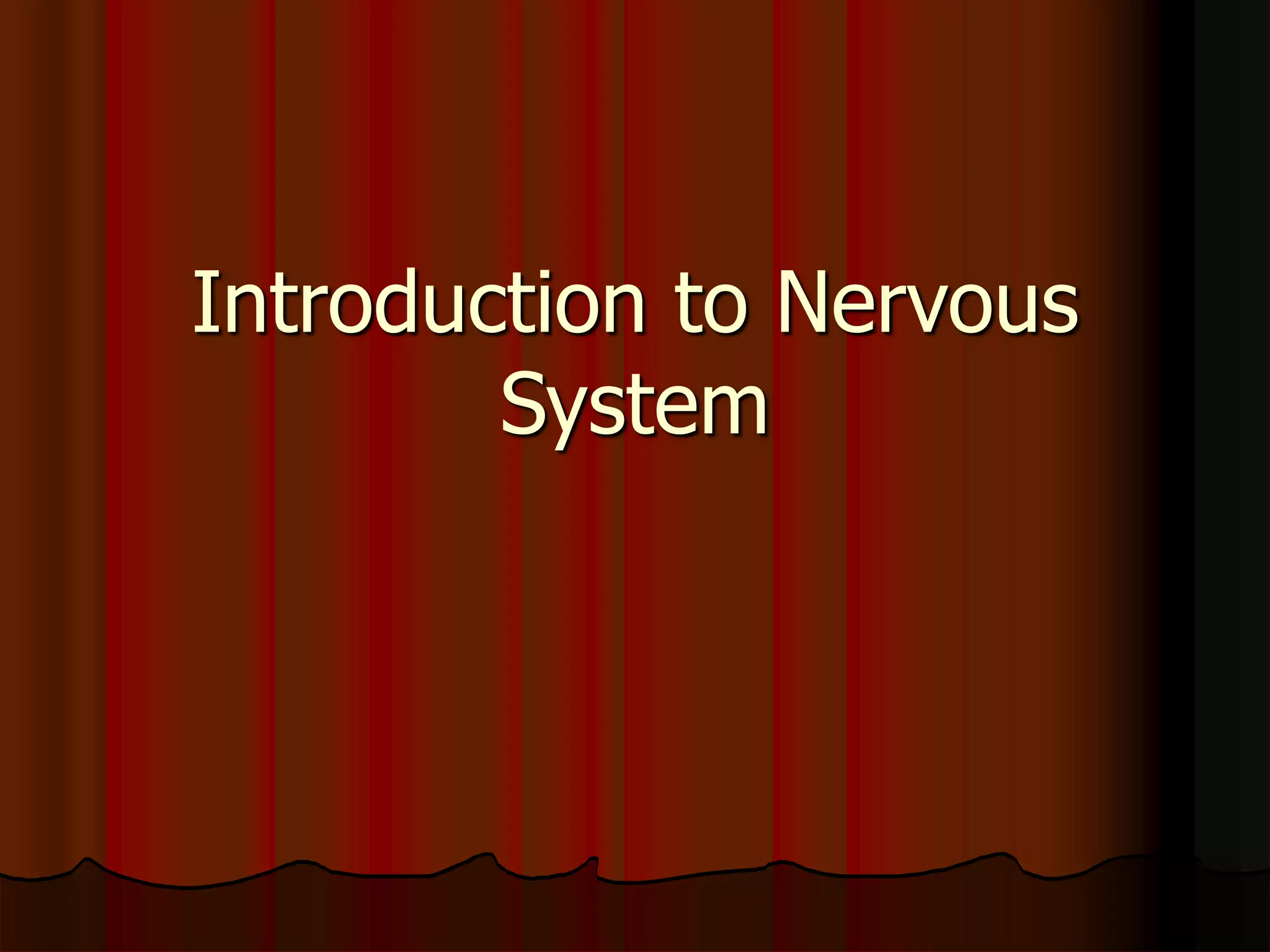introduction to nervous system (1).ppt