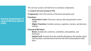 Introduction to Nervous System and Neuron.pptx