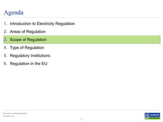 Introduction to network regulation - Principles of Price Regulation | PDF
