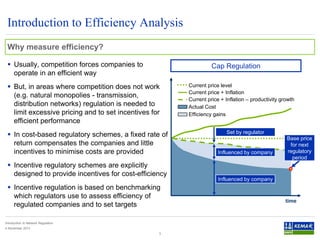 Introduction to network regulation - Role of Efficiency Analysis | PDF