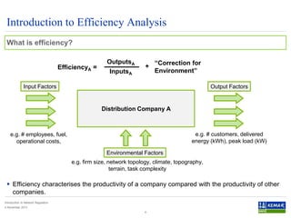 Introduction to network regulation - Role of Efficiency Analysis | PDF