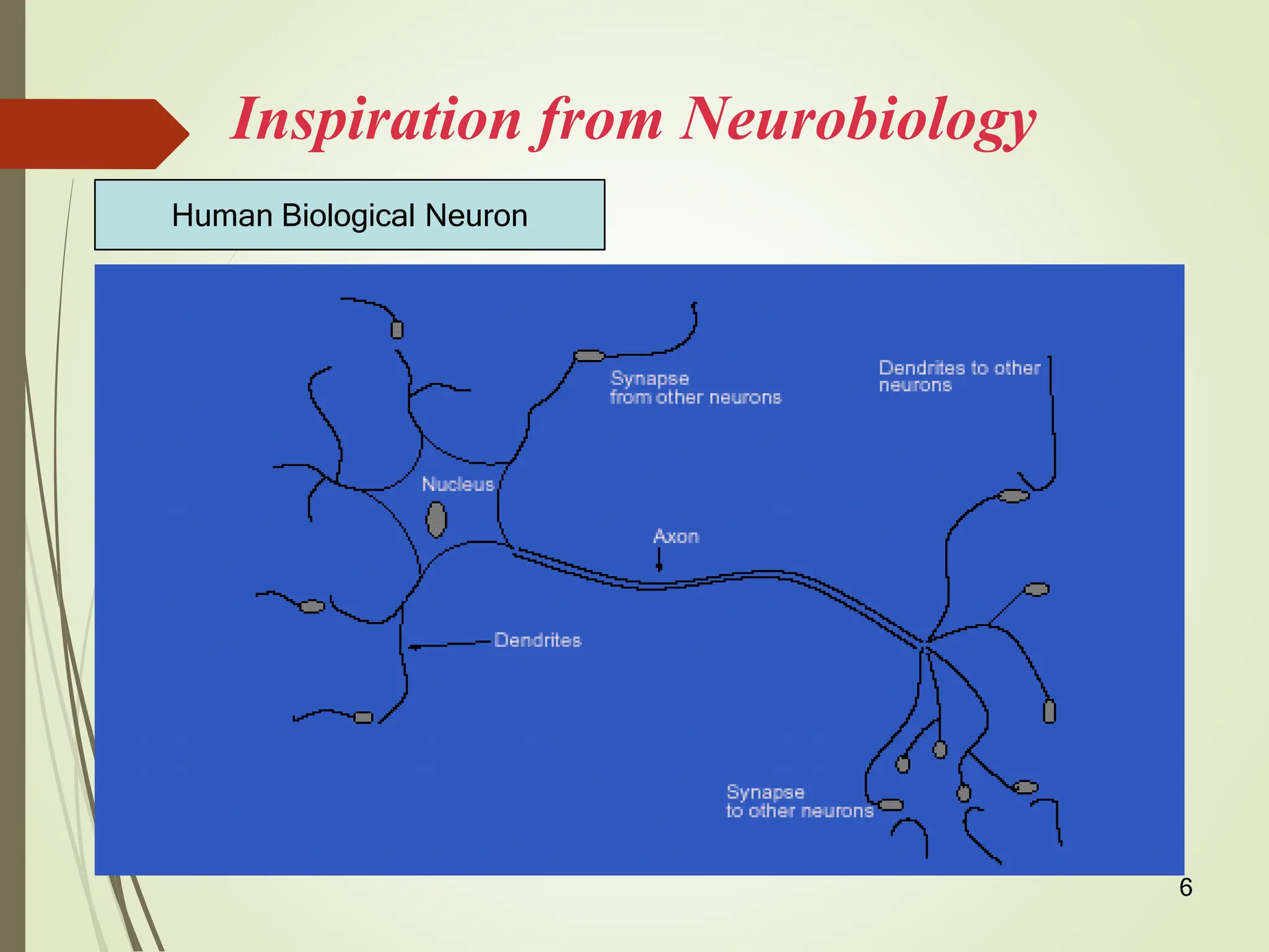 Introduction to Neural Networks.pptx