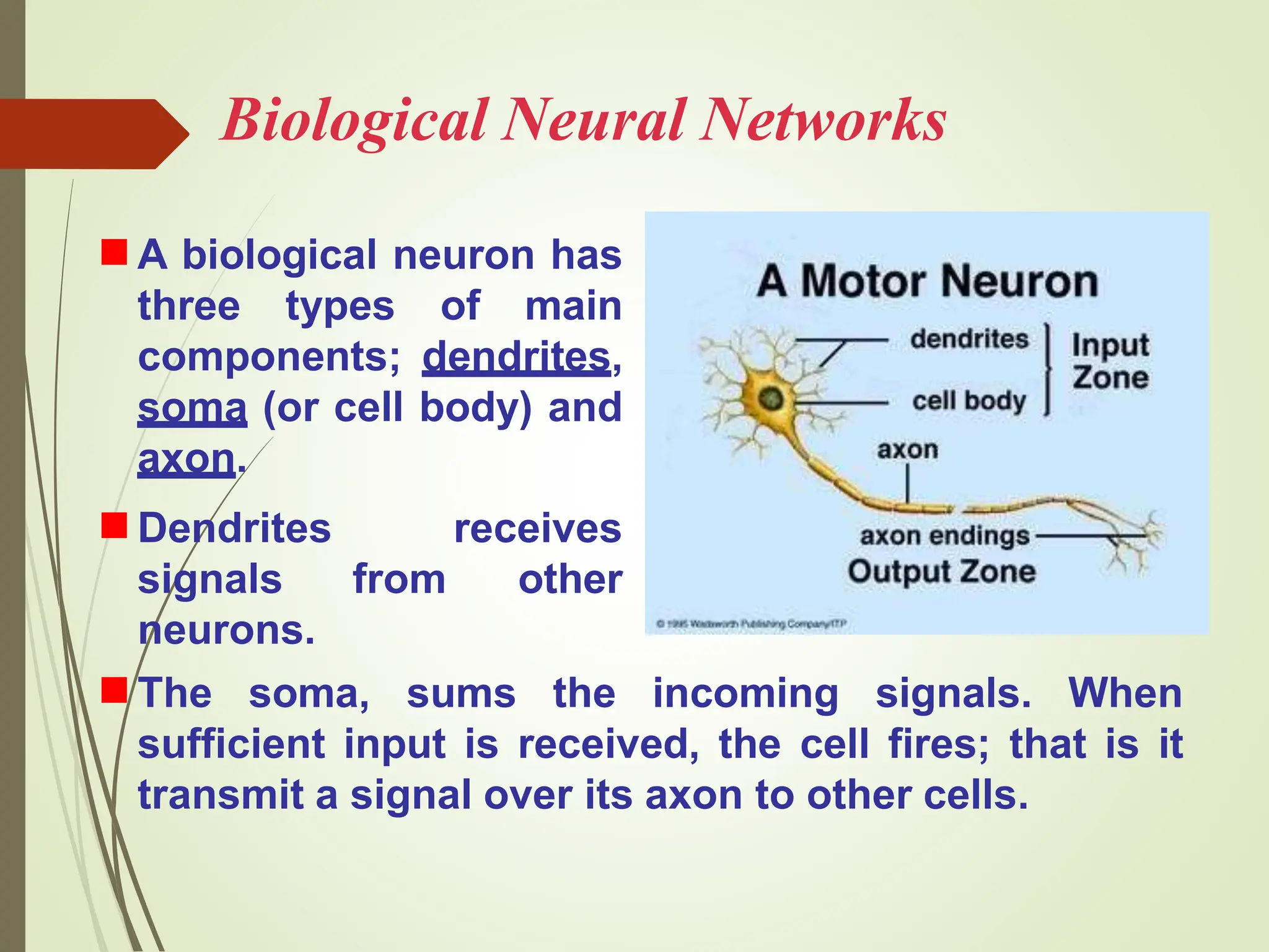 Introduction to Neural Networks.pptx