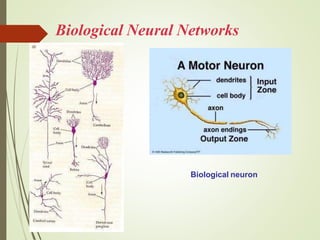 Introduction to Neural Networks.pptx