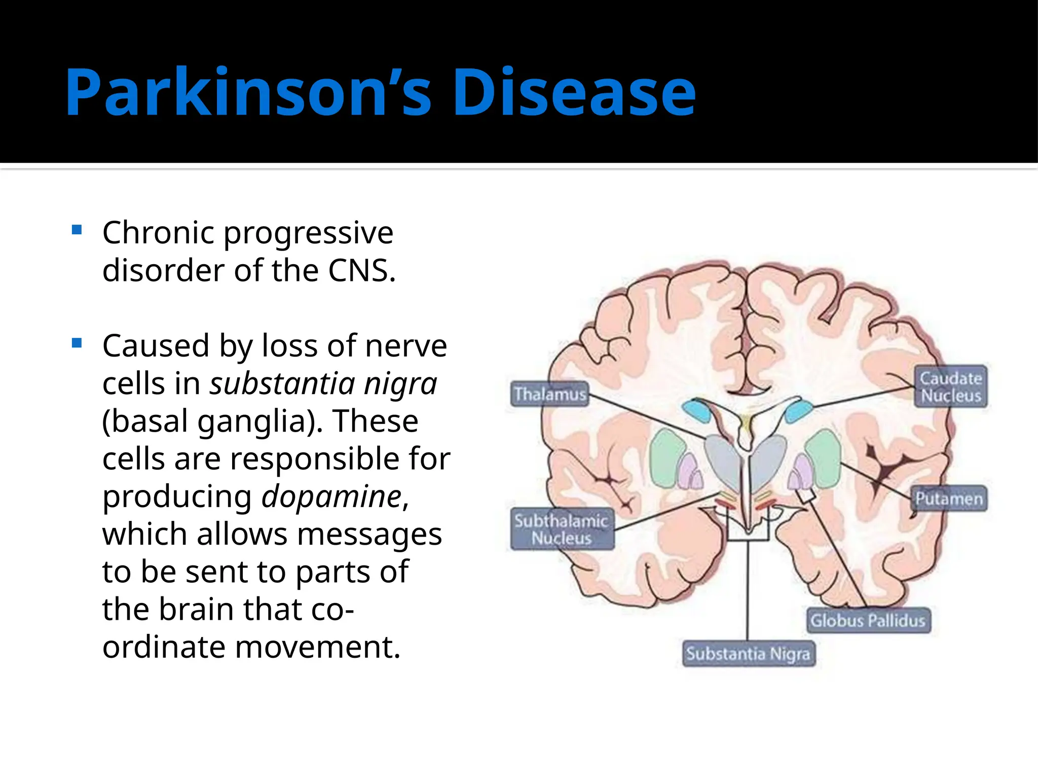 neurological physiotherapyibjbijbibjbibjibib | PPTX