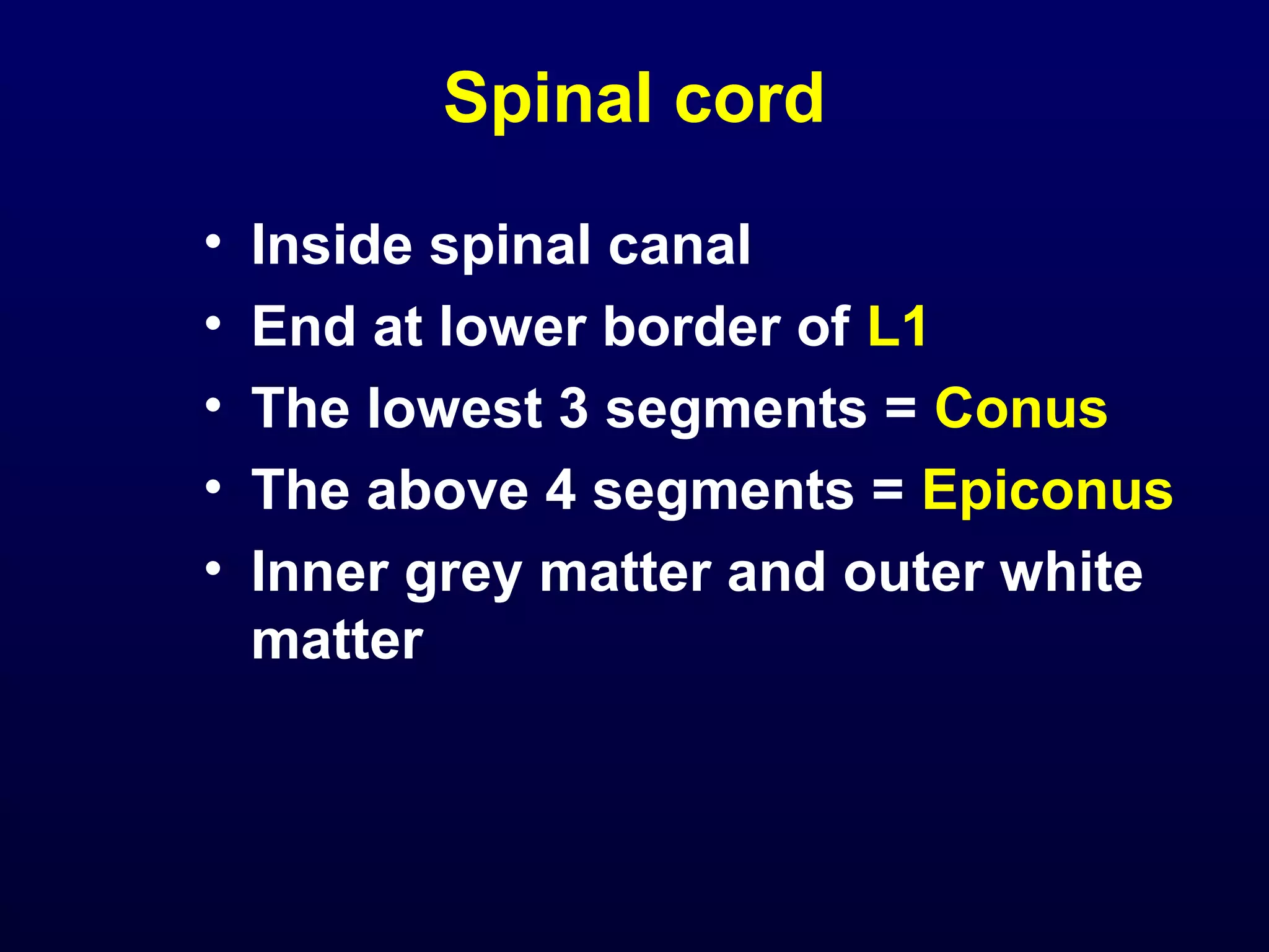 Introduction to neurology | PPT