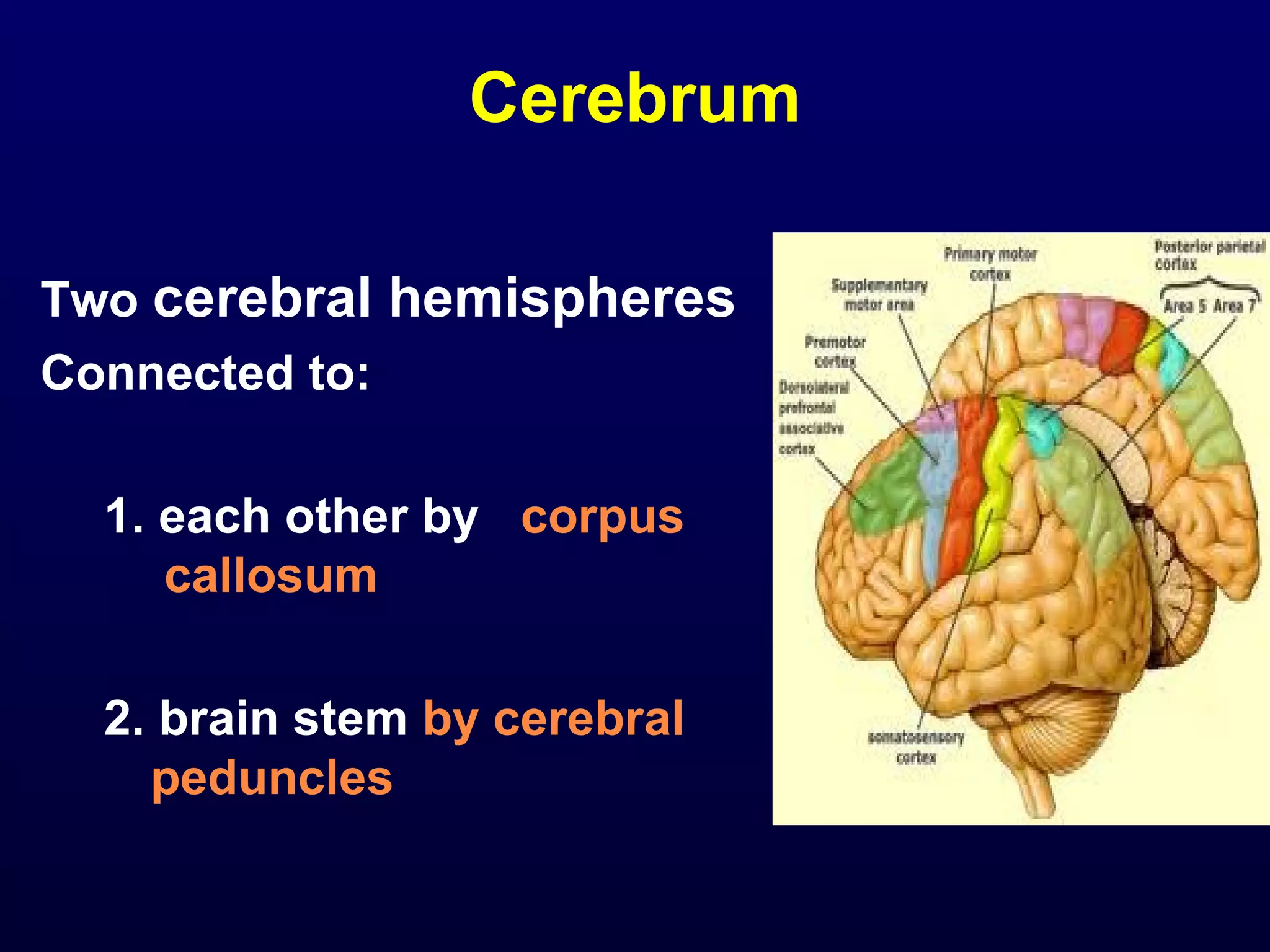 Introduction to neurology | PPT
