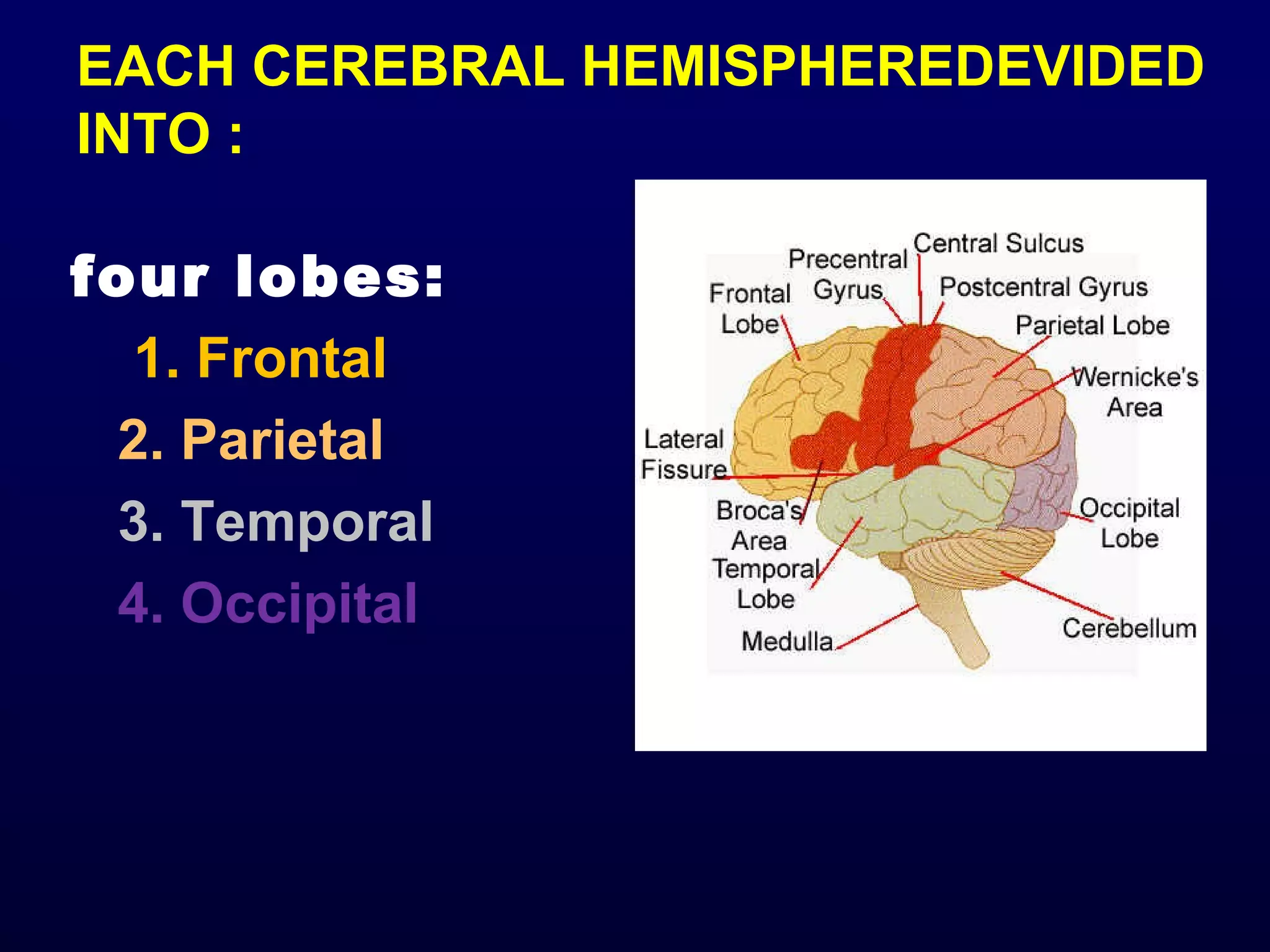 Introduction to neurology | PPT