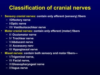Introduction to neurology | PPT