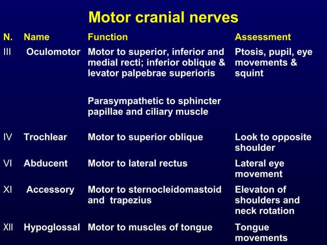 Introduction to neurology | PPT