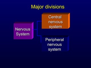 Introduction to neurology | PPT