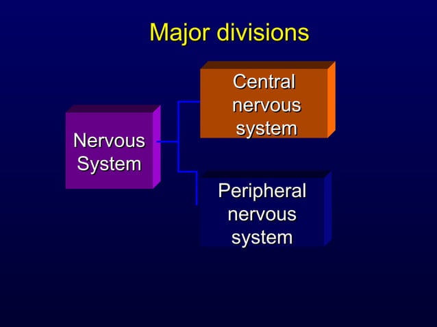 Introduction to neurology | PPT