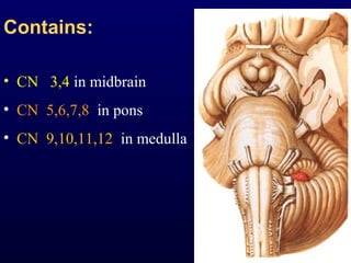 Introduction to neurology | PPT