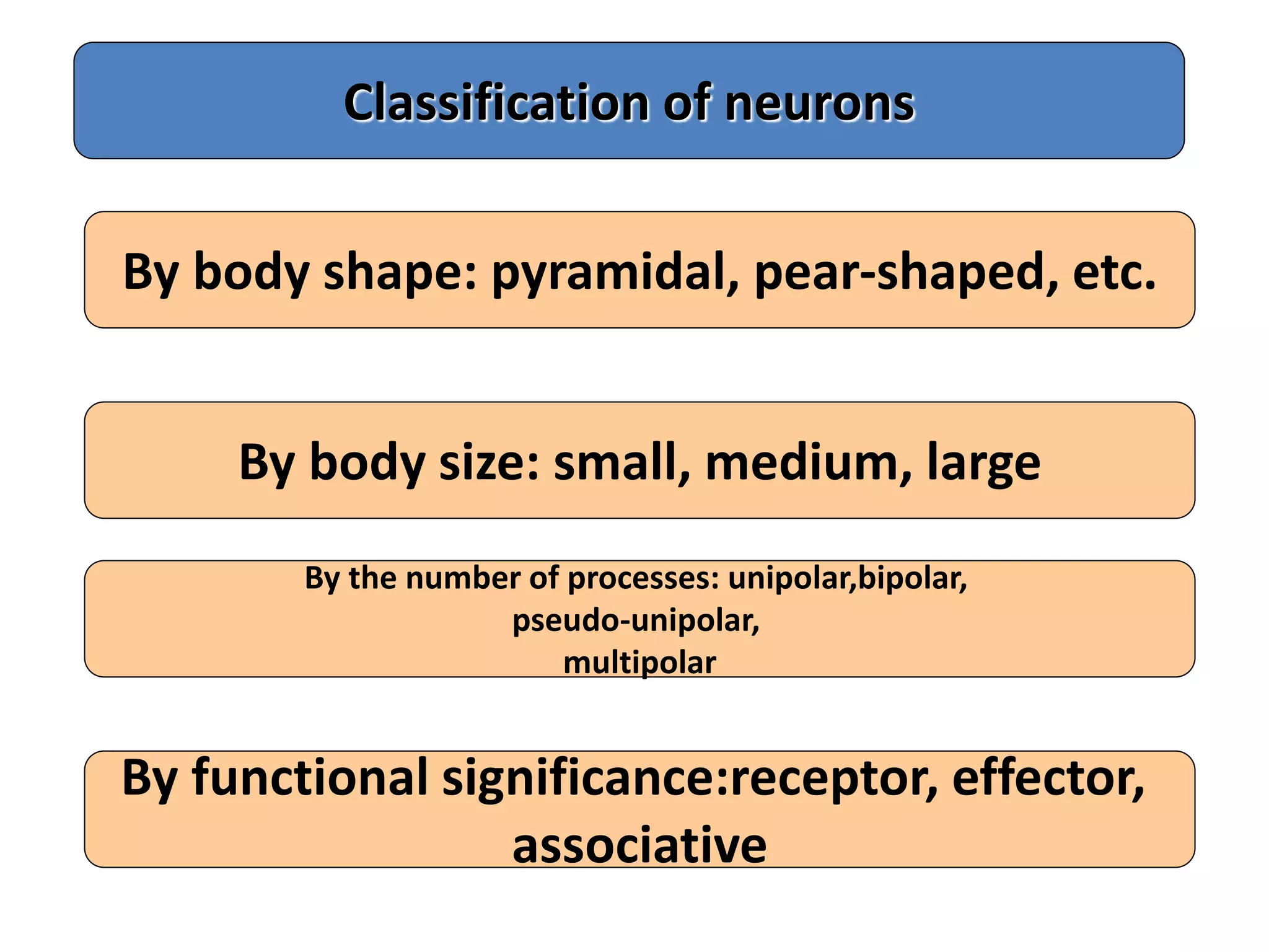 introduction to neurology..pptx