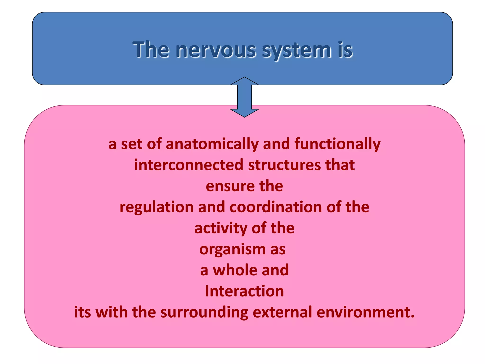 introduction to neurology..pptx