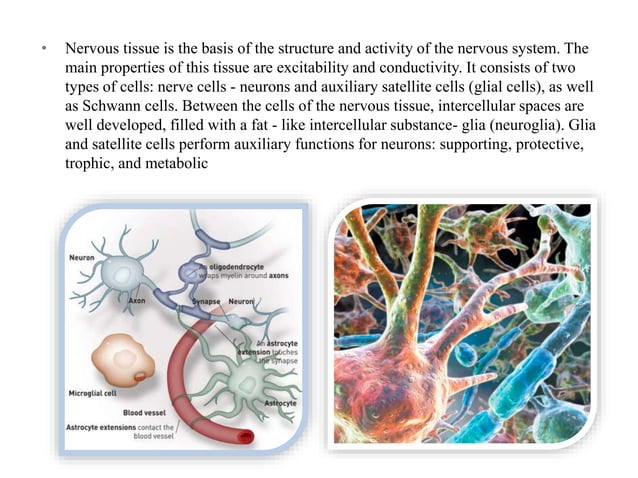 introduction to neurology..pptx