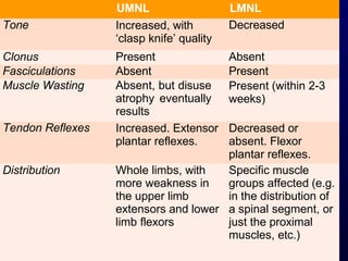 introductiontoneurology, nerves,, anatomy | PPTX