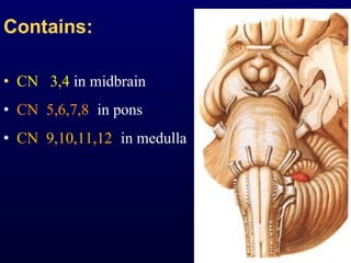 introductiontoneurology, nerves,, anatomy | PPTX