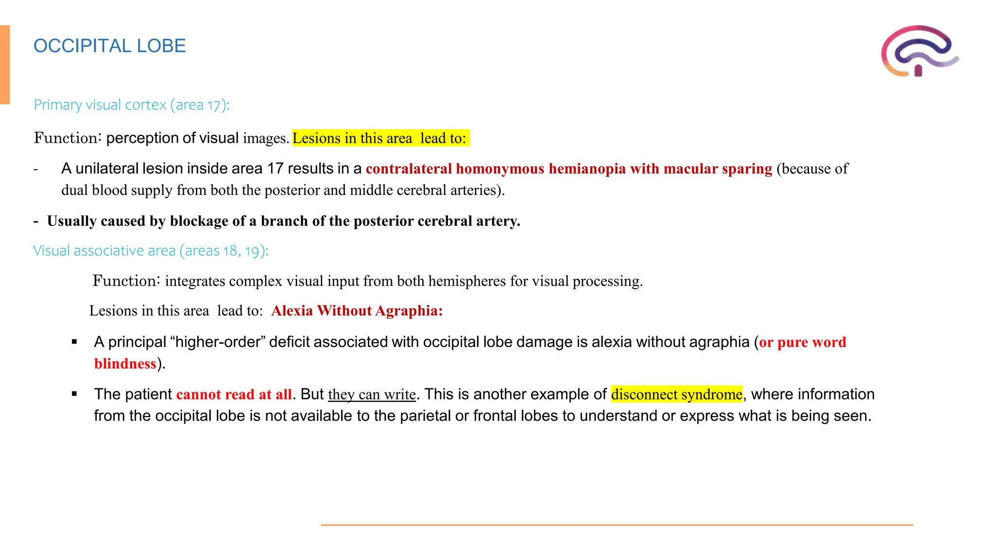 introduction to neurology (nervous system, areas, motor and sensory ...
