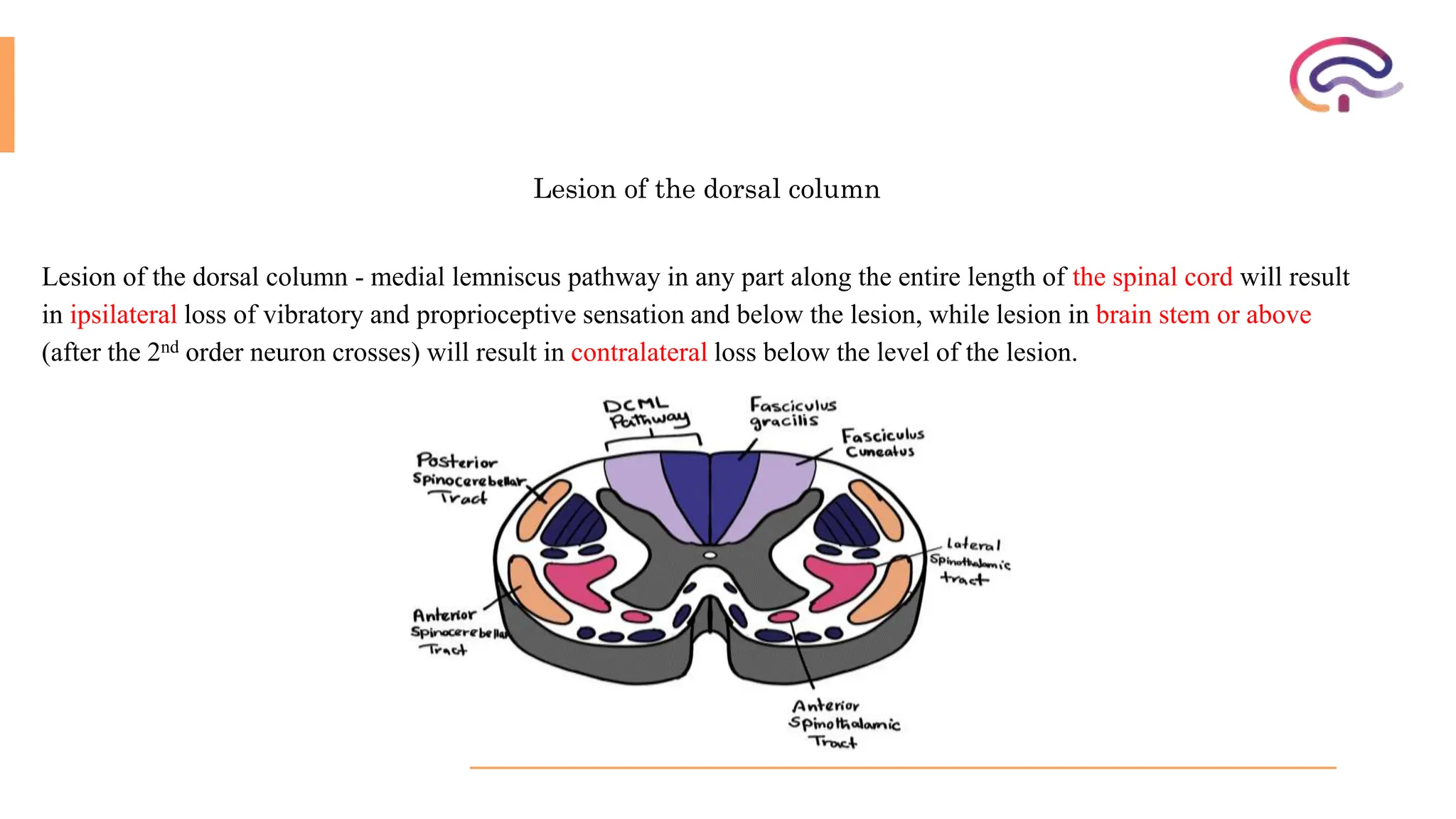 introduction to neurology (nervous system, areas, motor and sensory ...