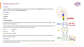 introduction to neurology (nervous system, areas, motor and sensory ...