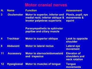 Introduction to neurology walid | PPT