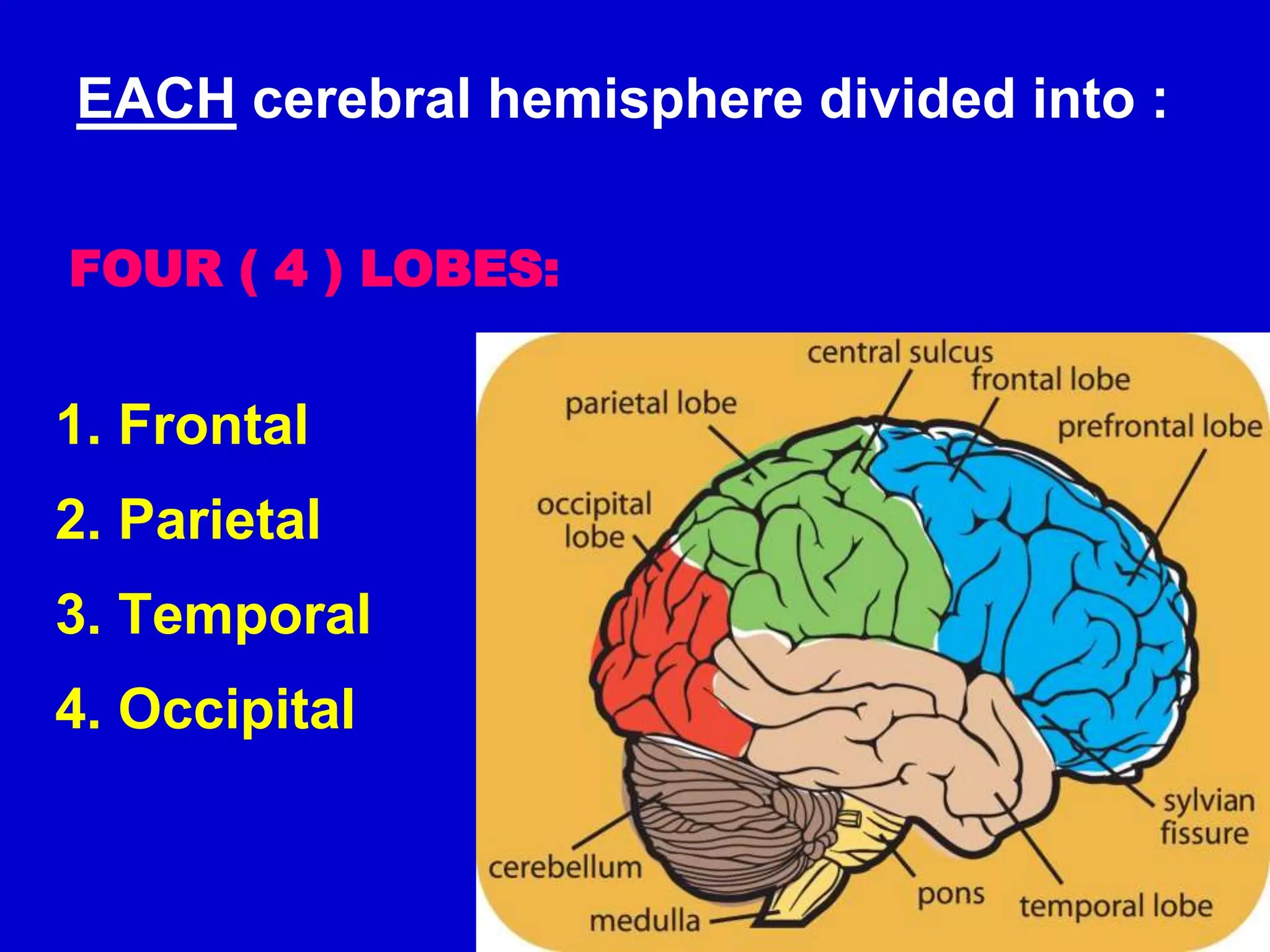 Introduction to Neurology | PPT