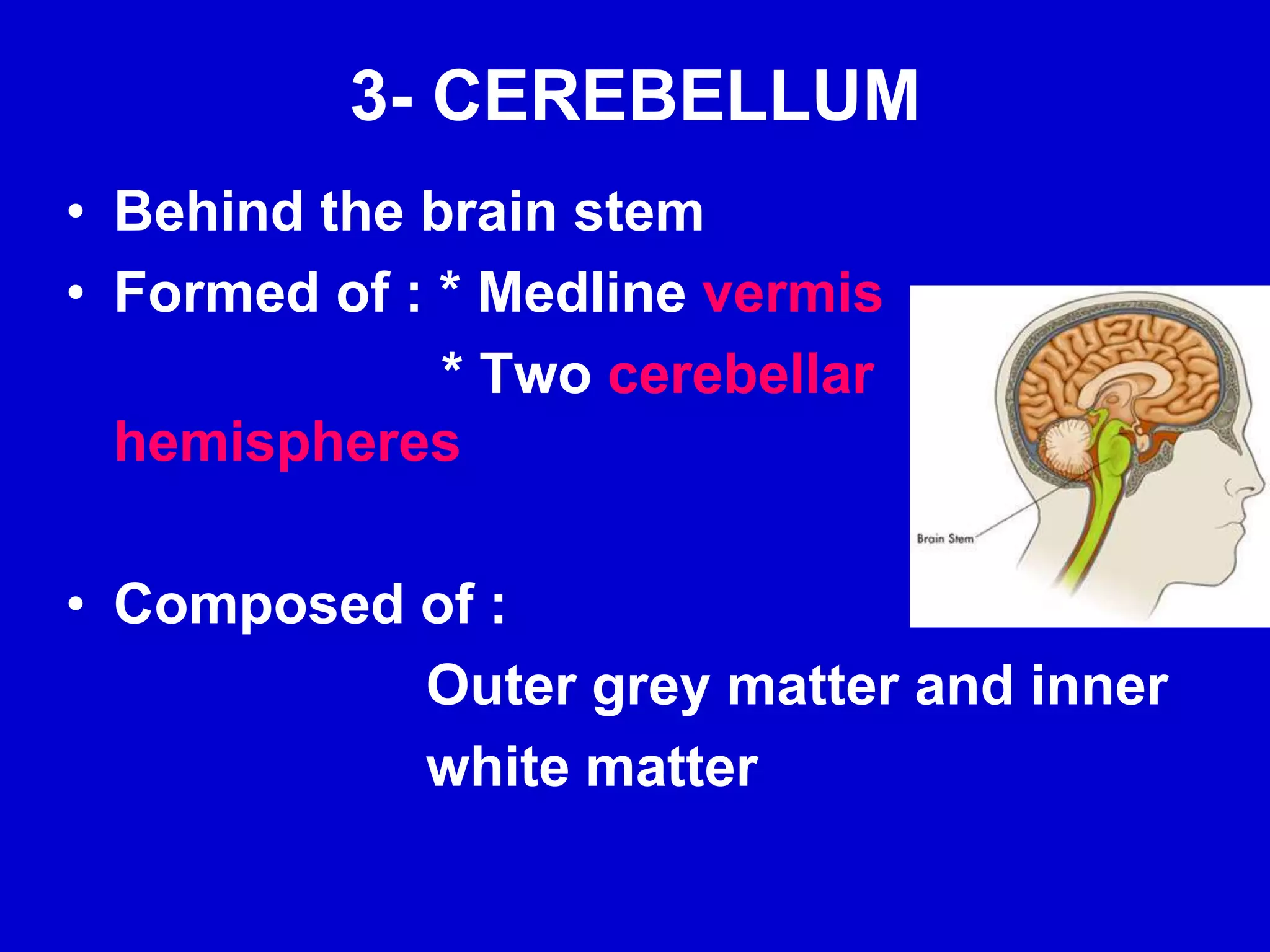 Introduction to Neurology | PPT