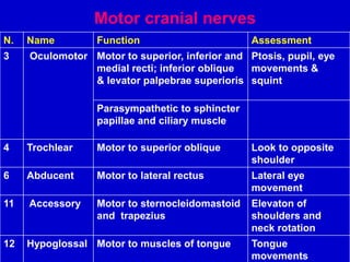 Introduction to Neurology | PPT