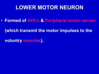 Introduction to Neurology | PPT
