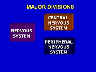 Introduction to Neurology | PPT