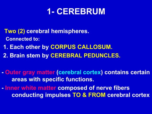 Introduction to Neurology | PPT