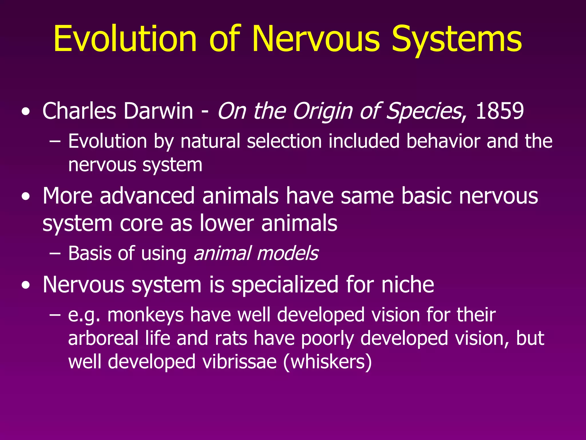 Introduction To Neuroscience | PPT