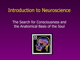Introduction To Neuroscience | PPT
