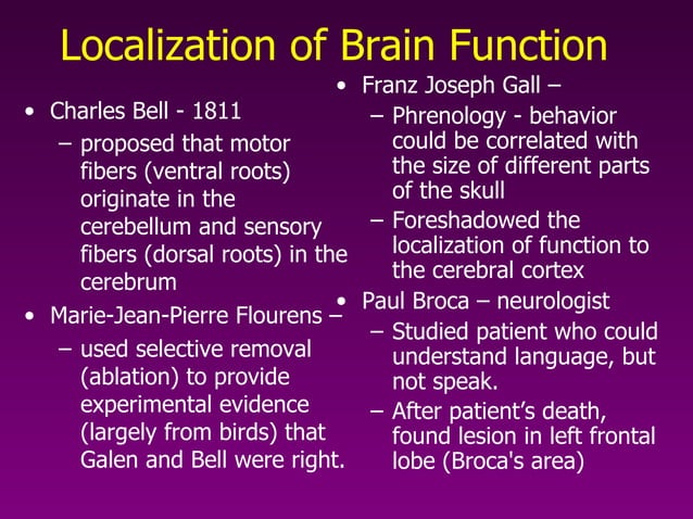 Introduction To Neuroscience | PPT | Brain and Nervous System Disorders ...