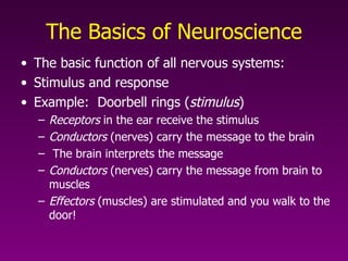 Introduction To Neuroscience | PPT